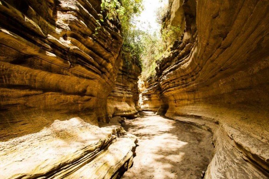 Discover Kenya - National Tourism Service Portal